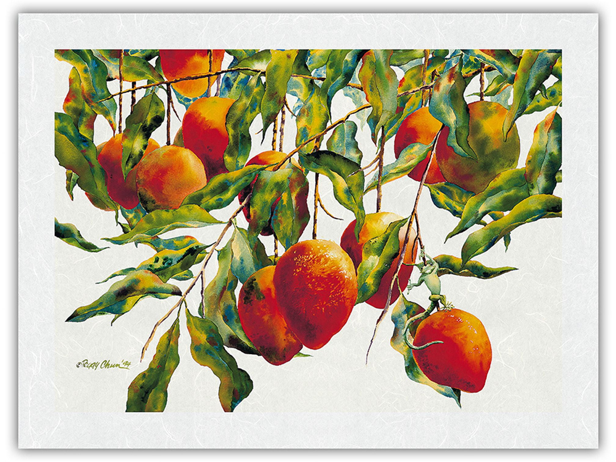 A Charmed Life - Hawaiian Mangoes and Geckos (Kapili) - From an ...