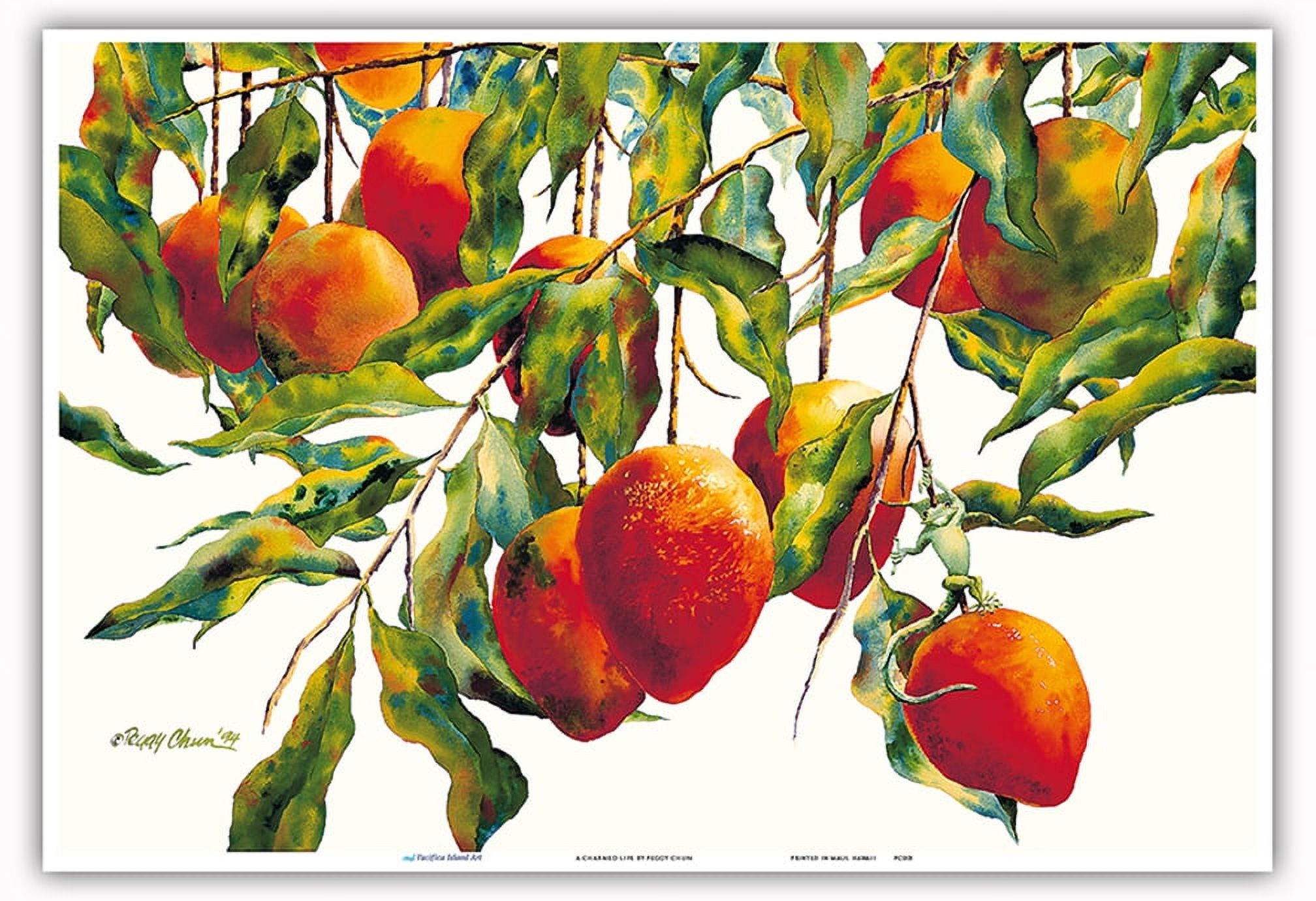 A Charmed Life - Hawaiian Mangoes and Geckos (Kapili) - From an ...
