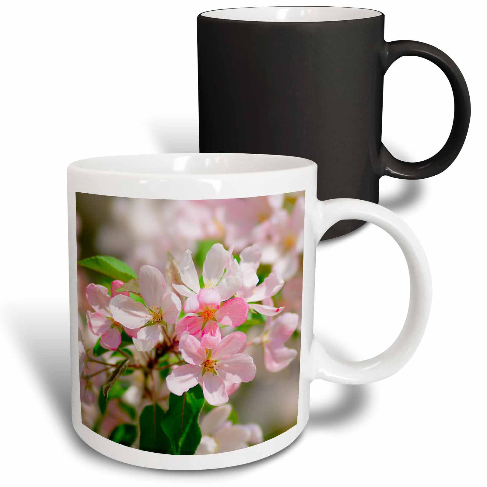 3drose, a Cluster of Soft Pink Apple Blossoms, Green Leaves in Spring ...