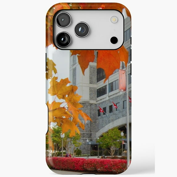 A College Football Stadium in The Fall Themed iPhone 11 through 17 Pro ...