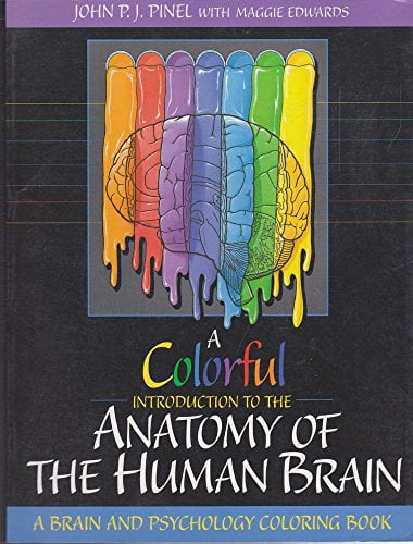 Pre-Owned A Colorful Introduction to the Anatomy of the Human Brain: A ...