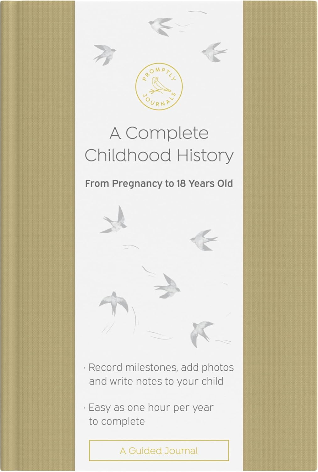 A Complete Childhood History: From Pregnancy to 18 Years Old (Sage ...