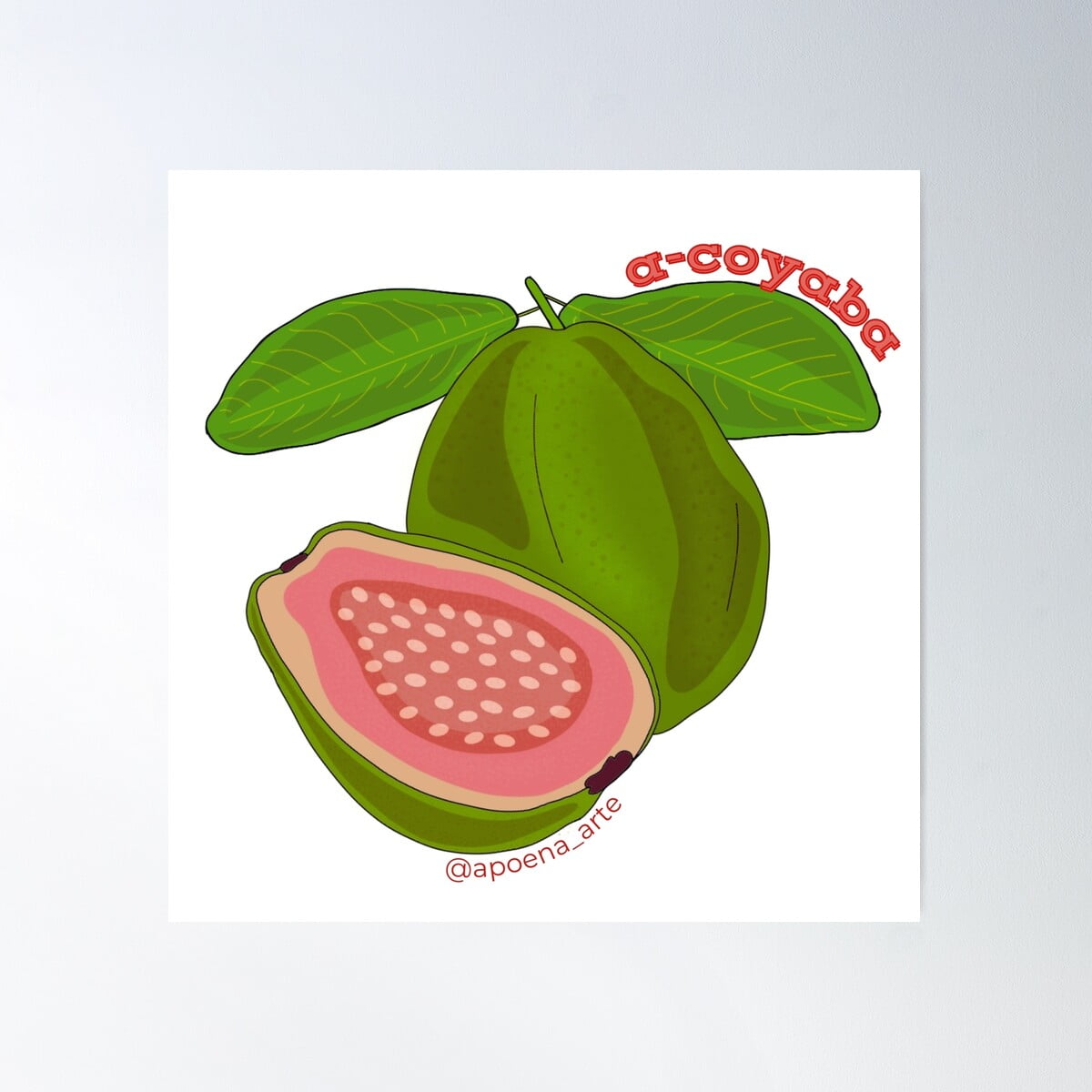 A-Coyaba - Goiaba - Guava Poster Wall Art, Modern Wall Decor For Living ...