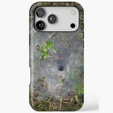 A Creepy Funnel Web Spider Themed Graphic Design iPhone 11 through 17 ...