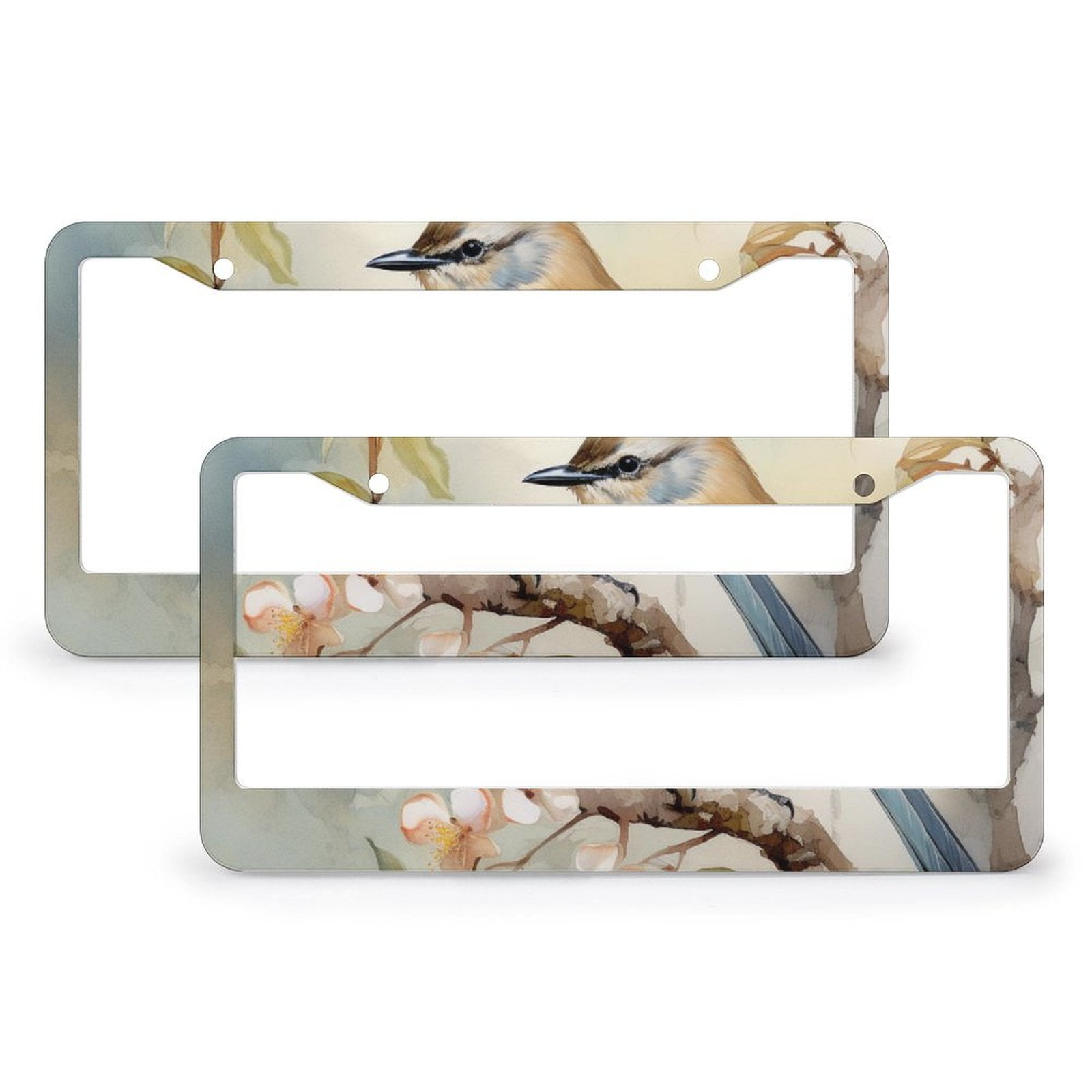 A Cute Bird On A Tree Branch License Plate Cover 2 Pieces Merry ...