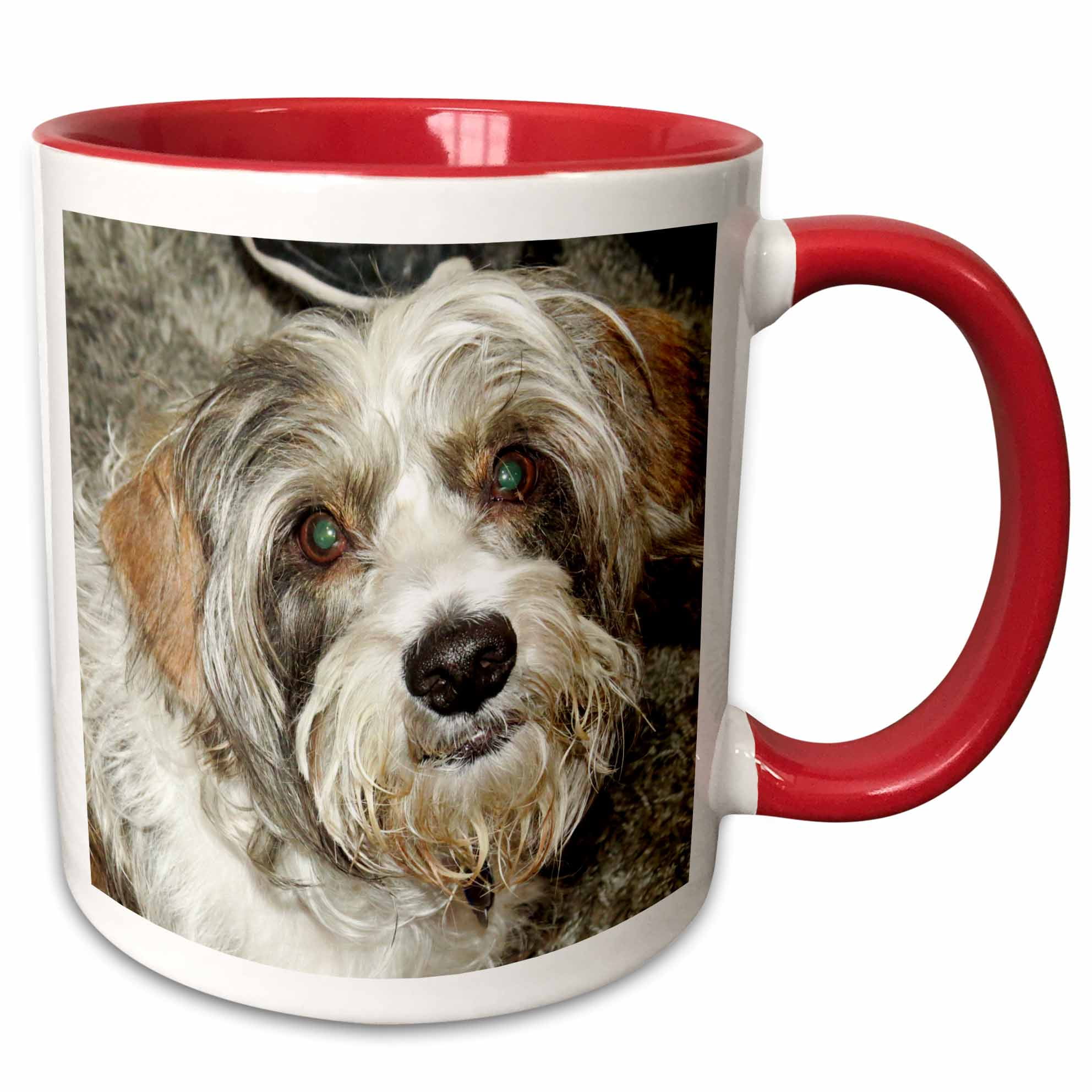 3drose, a Cute Dog Looking into the Camera with Shaggy Hair in Brindle ...