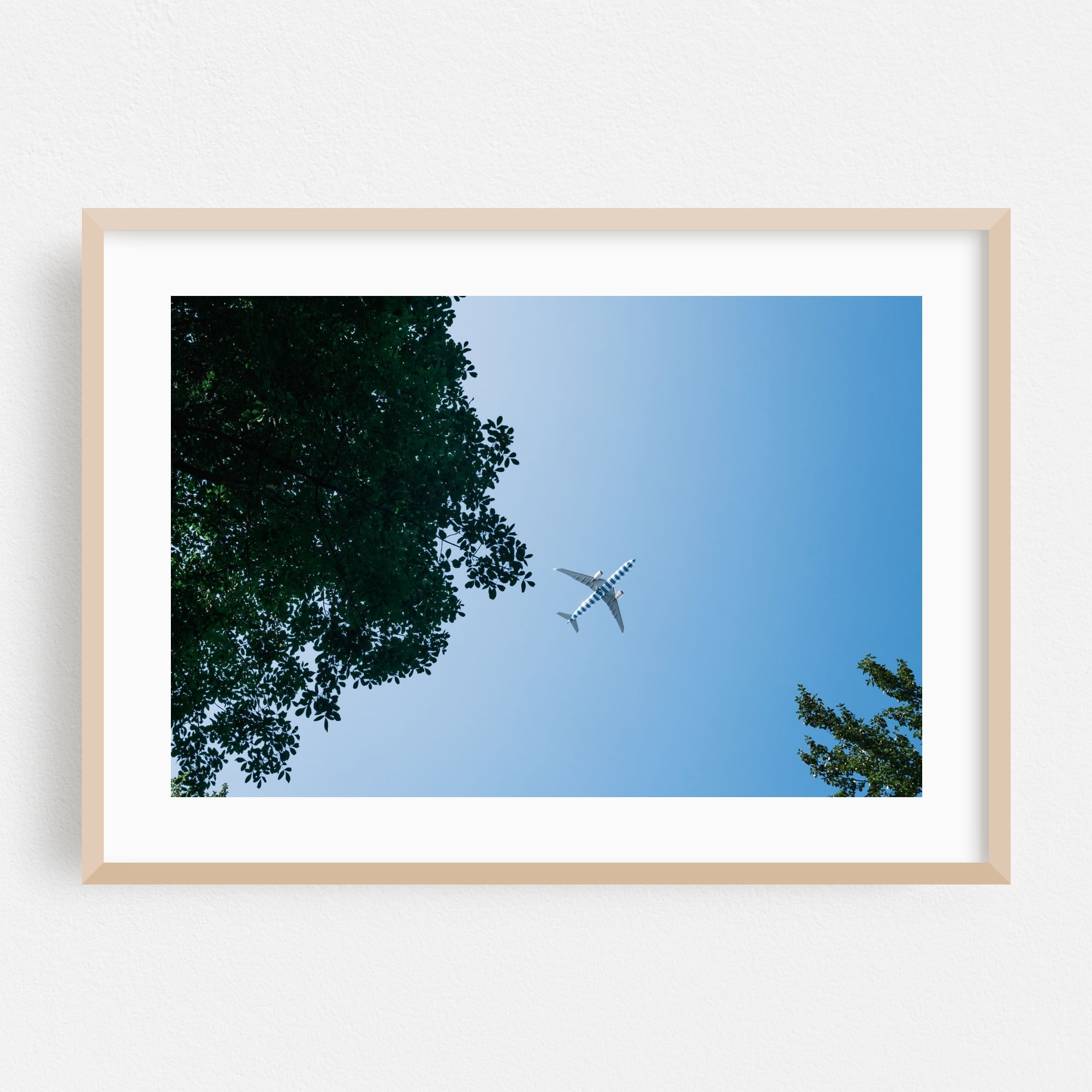 A Descent Through Canopy - Portland Oregon Photography Airplane Nature ...