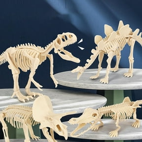 12PCS Dinosaur Digging Fossil Kit with 12 Dinosaur Eggs, brush Tools ...