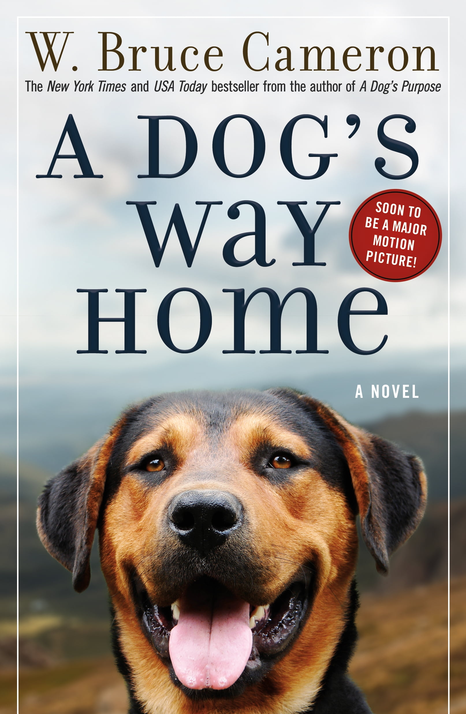 A Dog's Way Home - Walmart.com
