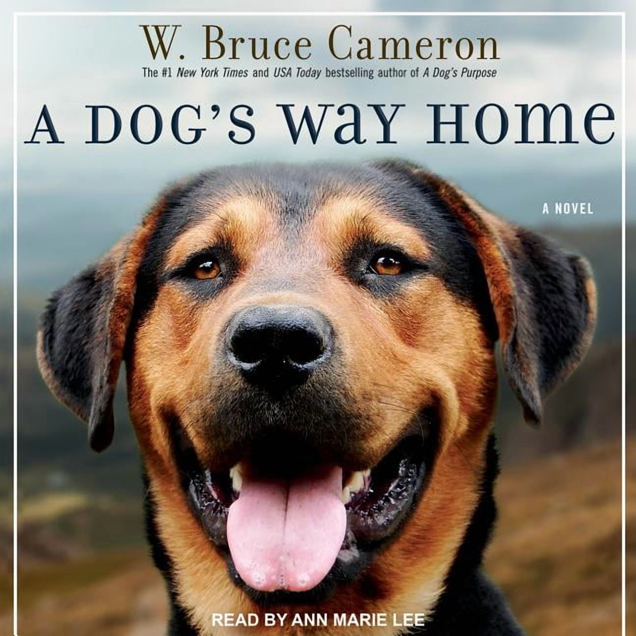 A Dog's Way Home (Audiobook) - Walmart.com
