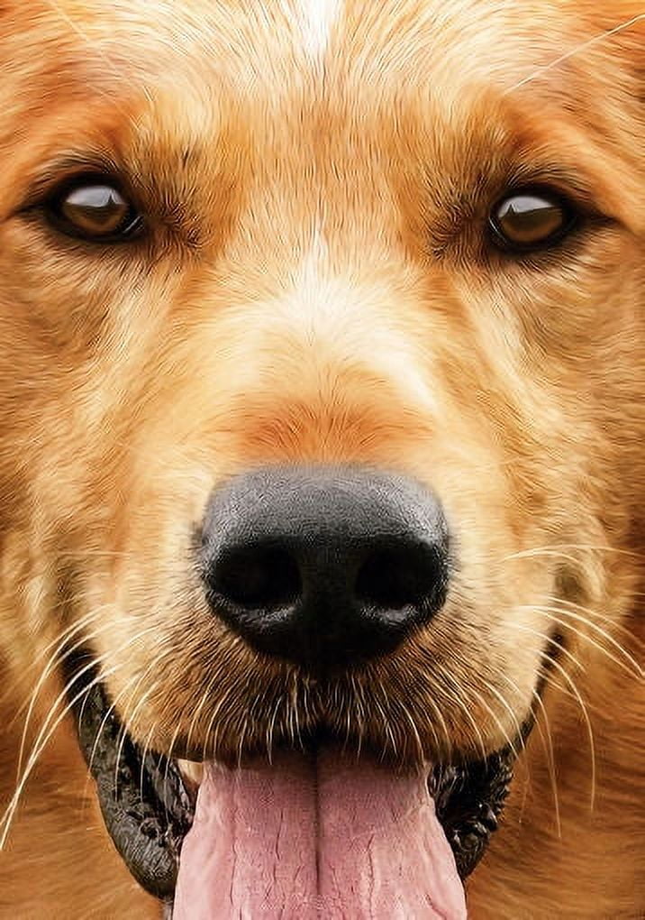 A Dogs Purpose Posters A Dogs Purpose Movie Poster 12x16 Print on Metal ...