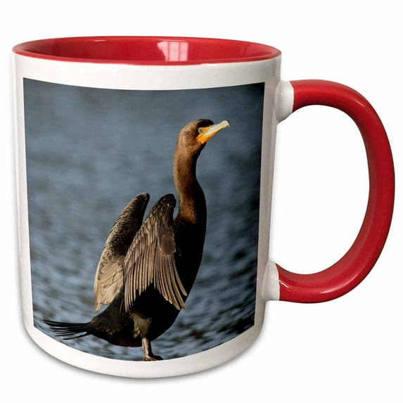 3drose, a Double-crested Cormorant Bird Drying Its Wings - Na02 Rbr0003 - Rick A. Brown, 11oz ...