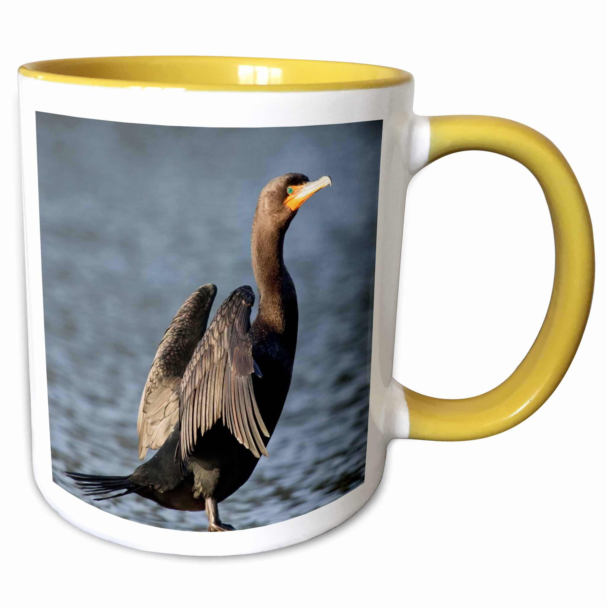 3drose, a Double-crested Cormorant Bird Drying Its Wings - Na02 Rbr0003 ...