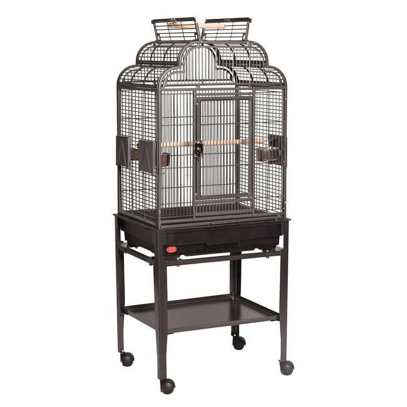 A&E Cage GA82217C HQ Black 22 x 17 in. Open Top Cage with Plastic Base ...