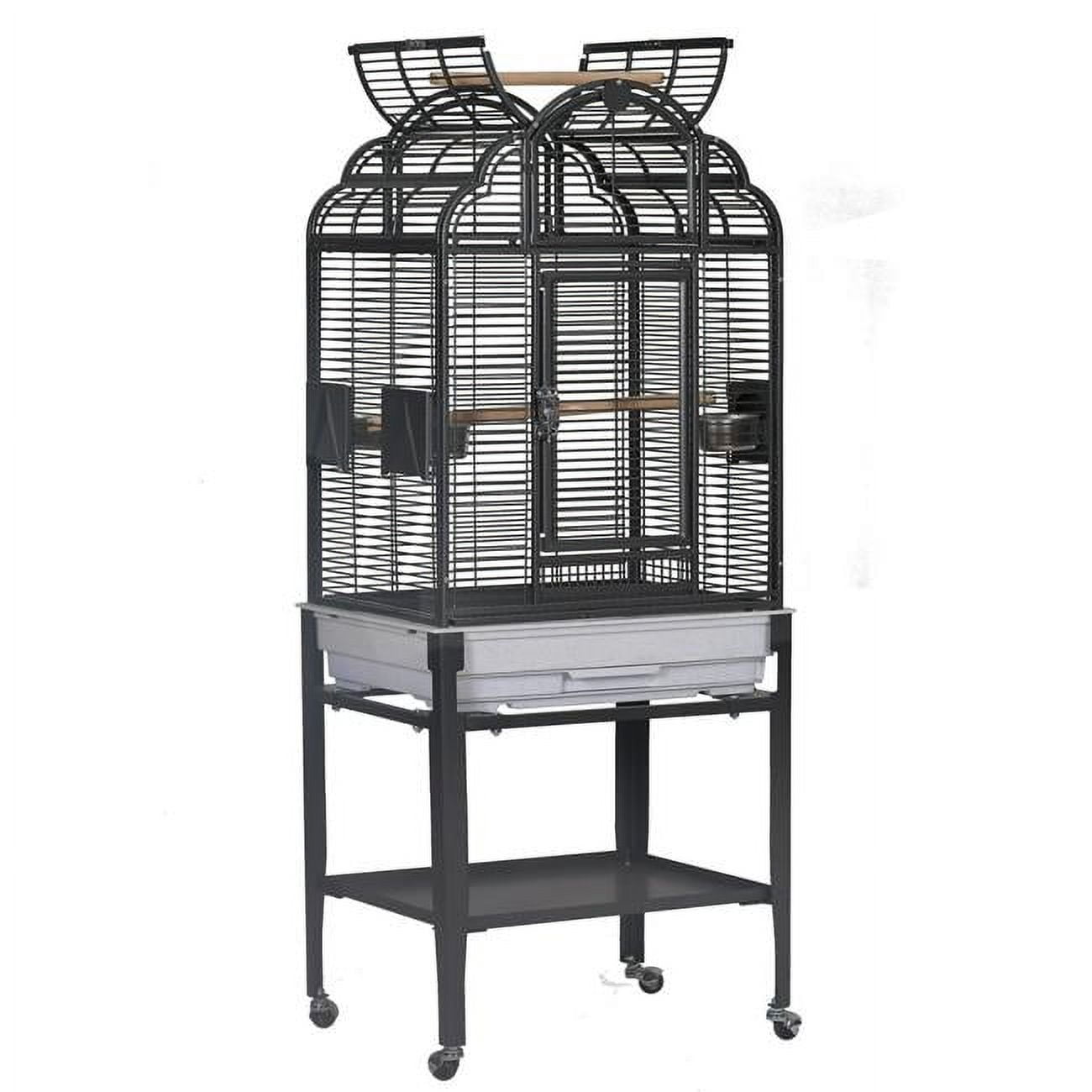 A&E Cage GA92217C HQ Black 22 x 17 in. Open Top Cage with Plastic Base ...