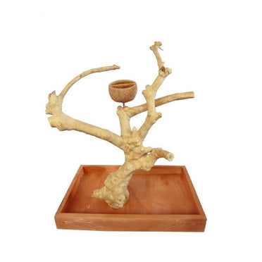 Prevue Pet Products Coffeawood Java Tree Minis Medium Table Top Playstand Perch, Natural Brown ...