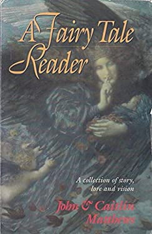 Pre-Owned A Fairy Tale Reader: A Collection of Story, Lore, and Vision (Paperback) 1855382830 ...