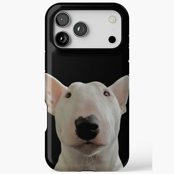 A Famous Internet Dog Meme Themed Pana Walter iPhone 11 through 17 Pro ...