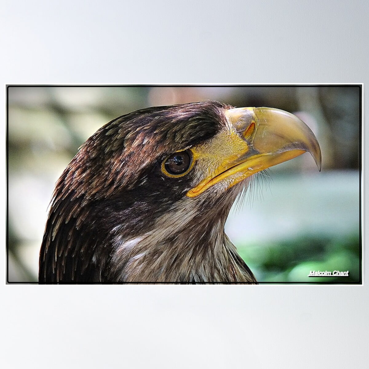 " A Fearsome Rapture" Poster Wall Art, Modern Wall Decor For Living ...