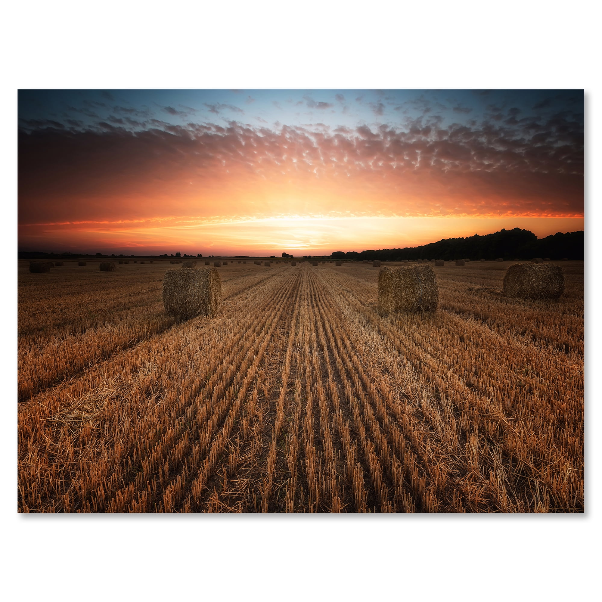 Free Shipping! Designart Country Farm Sunset Canvas Art 32x24 in ...