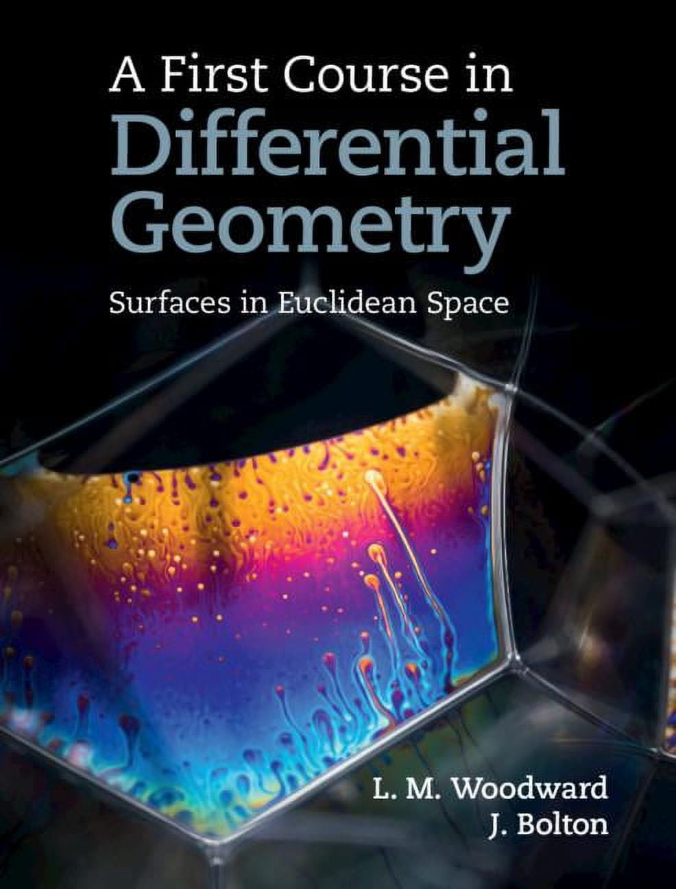 A First Course in Differential Geometry, (Hardcover) - Walmart.com