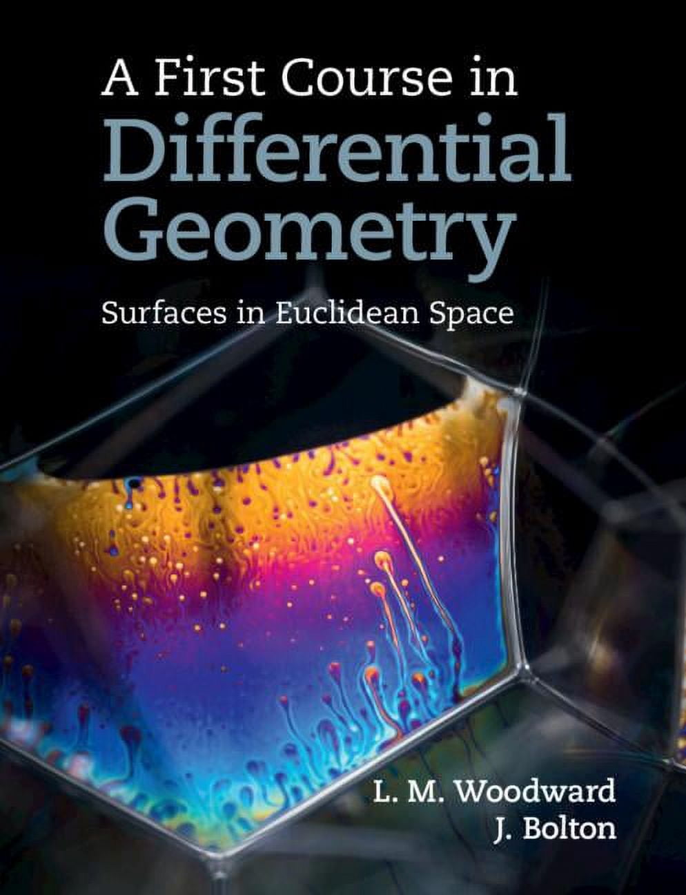 A First Course in Differential Geometry, (Paperback) - Walmart.com