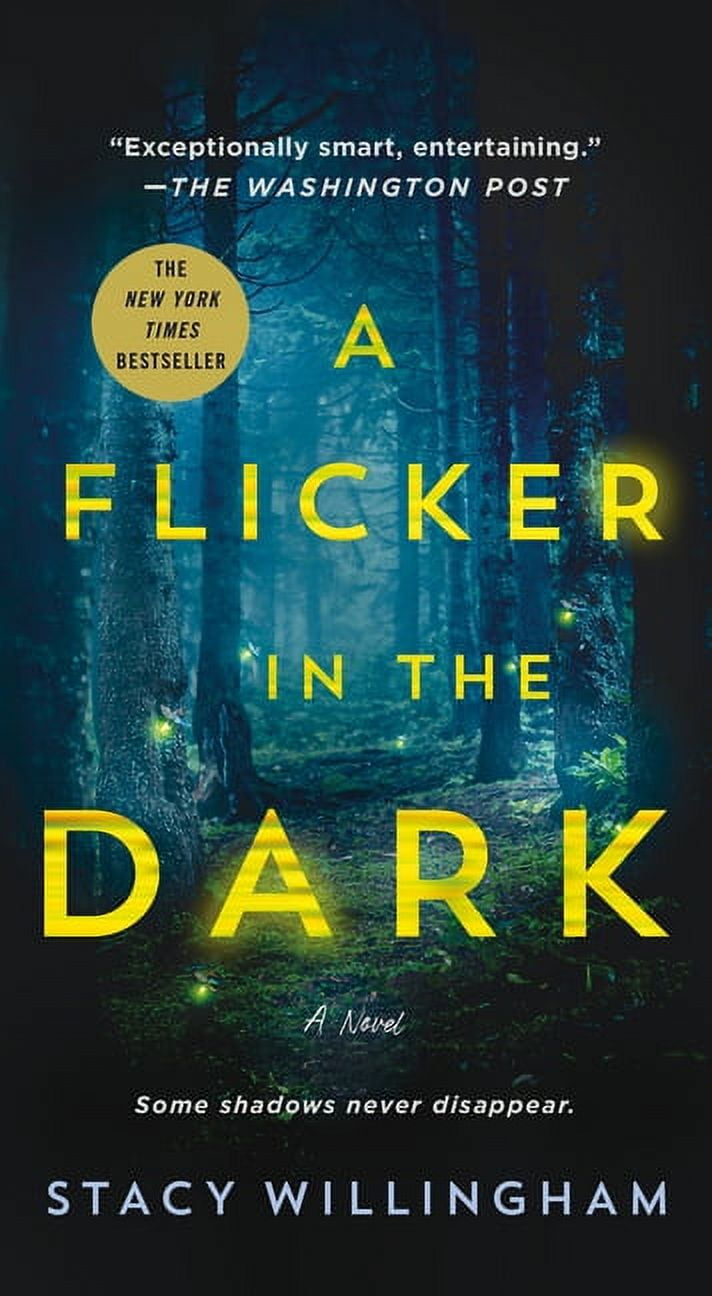 A Flicker in the Dark : A Novel (Paperback) - Walmart.com