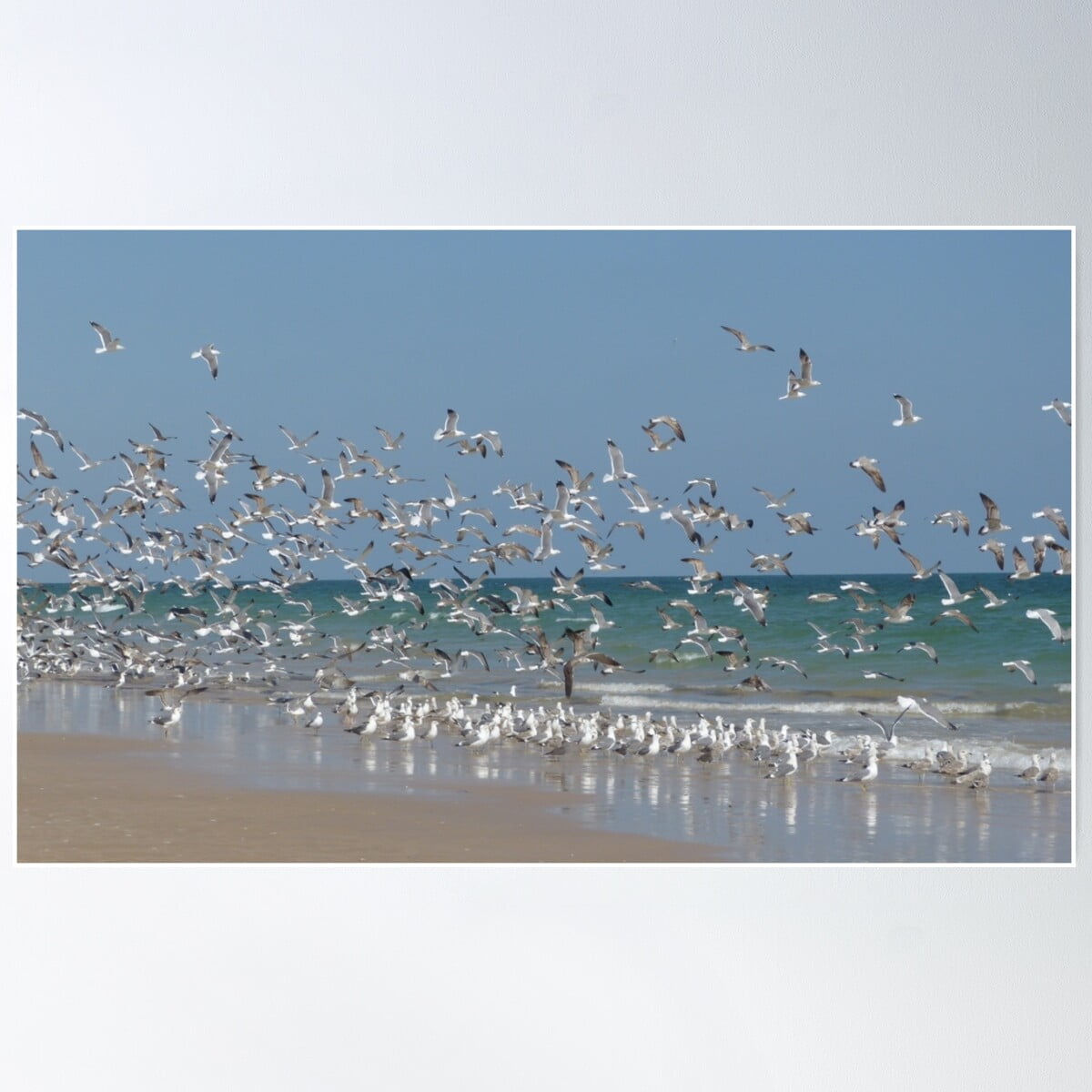 A Flock Of Seagulls Poster Wall Art, Modern Wall Decor For Living Room ...