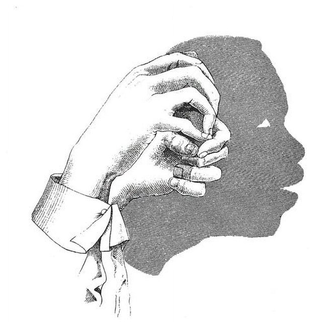 A Following Shadow - Walmart.com