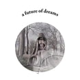 A future of dreams - Walmart.com