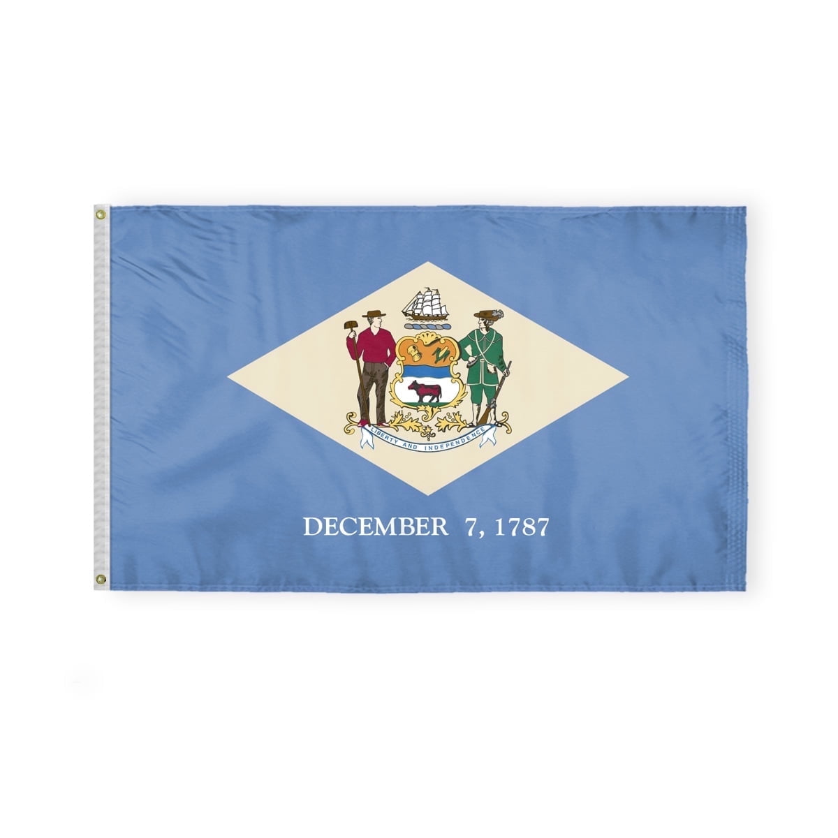 A.G.A.S 3' x 5' 200 Denier Nylon Delaware State Flag, Double Sided ...
