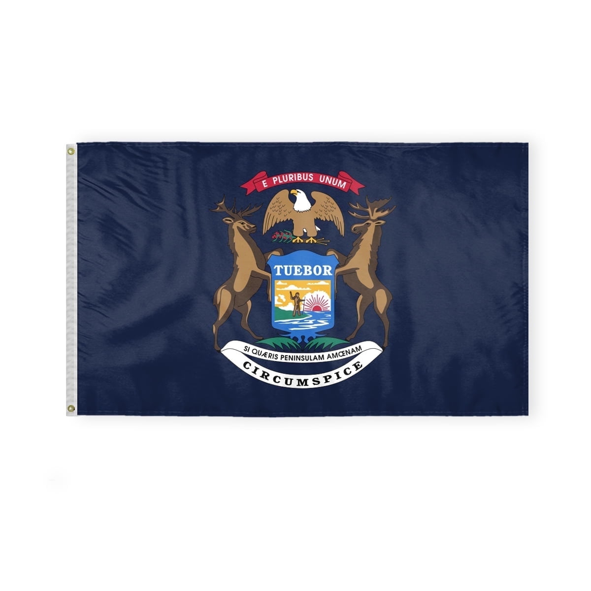 A.G.A.S 3x5 Ft Michigan State Polyester Flag, Indoor/Outdoor Display ...