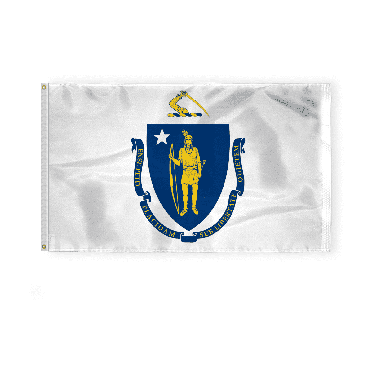 A.G.A.S 3x5 Ft Polyester Indoor/Outdoor Massachusetts State Flag ...