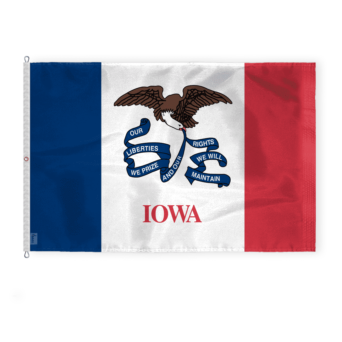 A.G.A.S Manufacturing Group Iowa State 8' x 12' 200D Nylon Flag ...