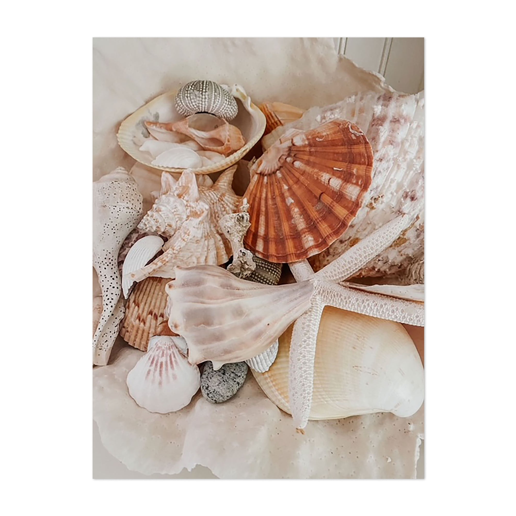 A Gift From the Sea - Guilford Connecticut Photography Beach Coastal ...