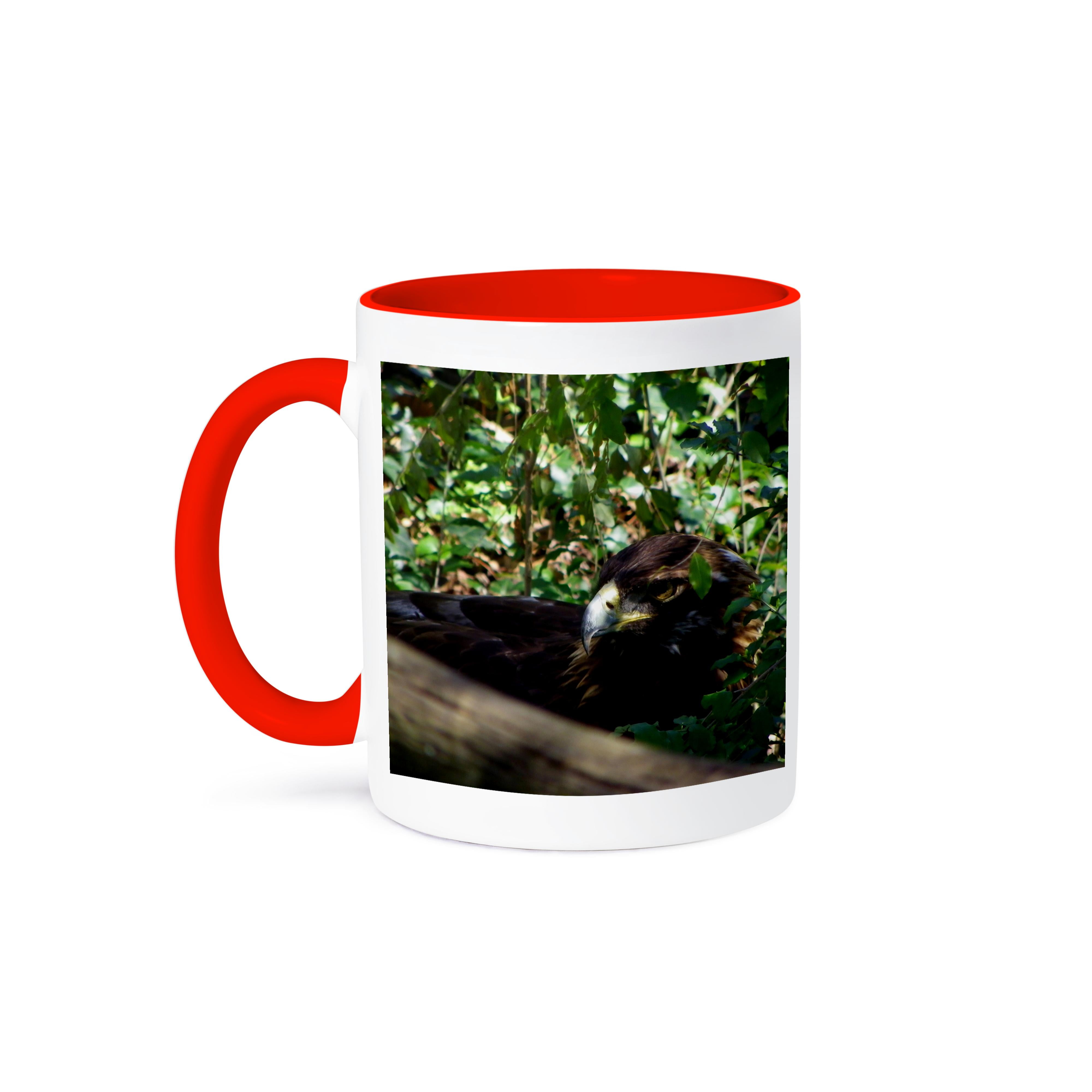 A Golden Eagle Hiding In The Bush, 15oz Two-Tone Red Mug - Walmart.com