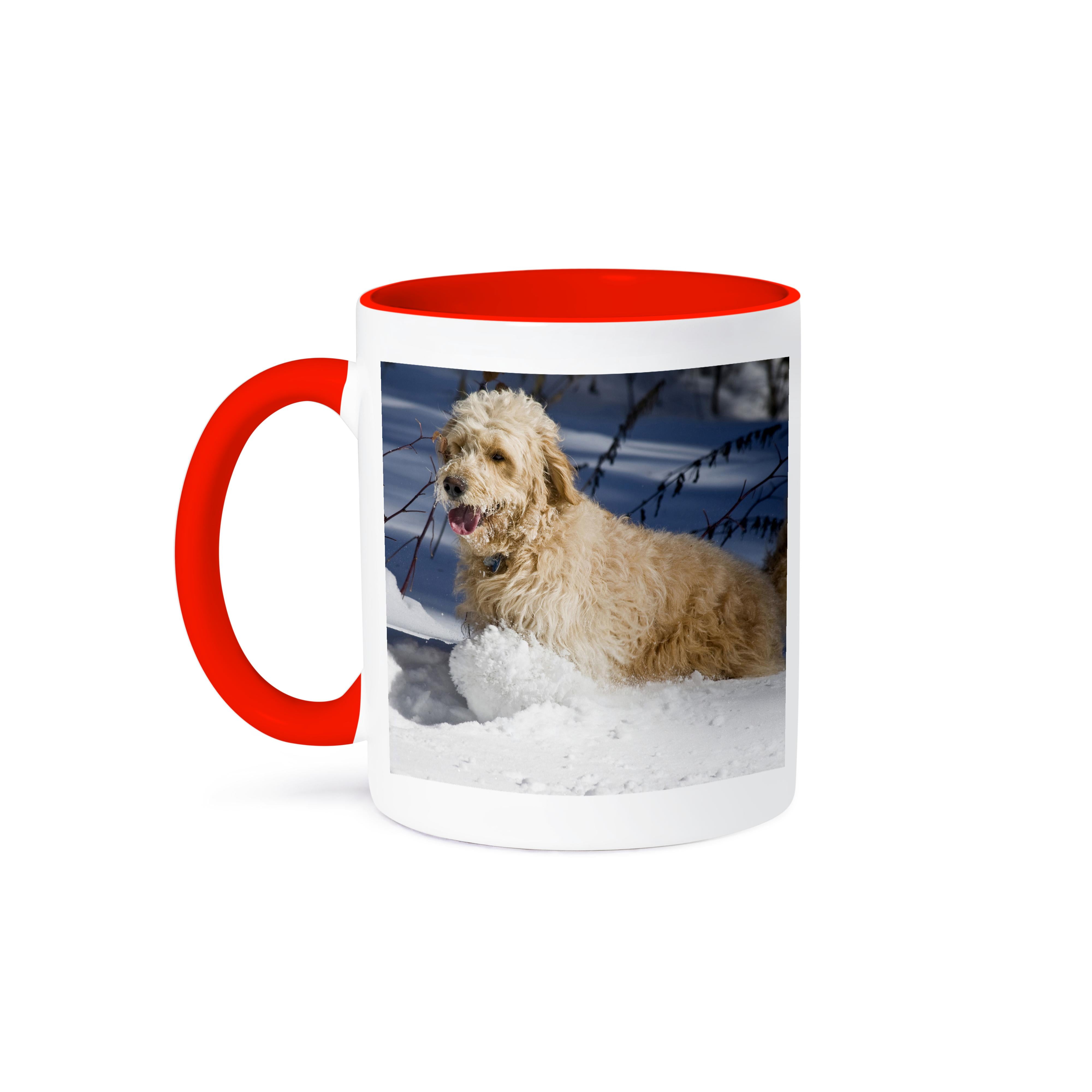A Goldendoodle Dog Running In The Snow - Us32 Zmu0069 - Zandria Muench ...