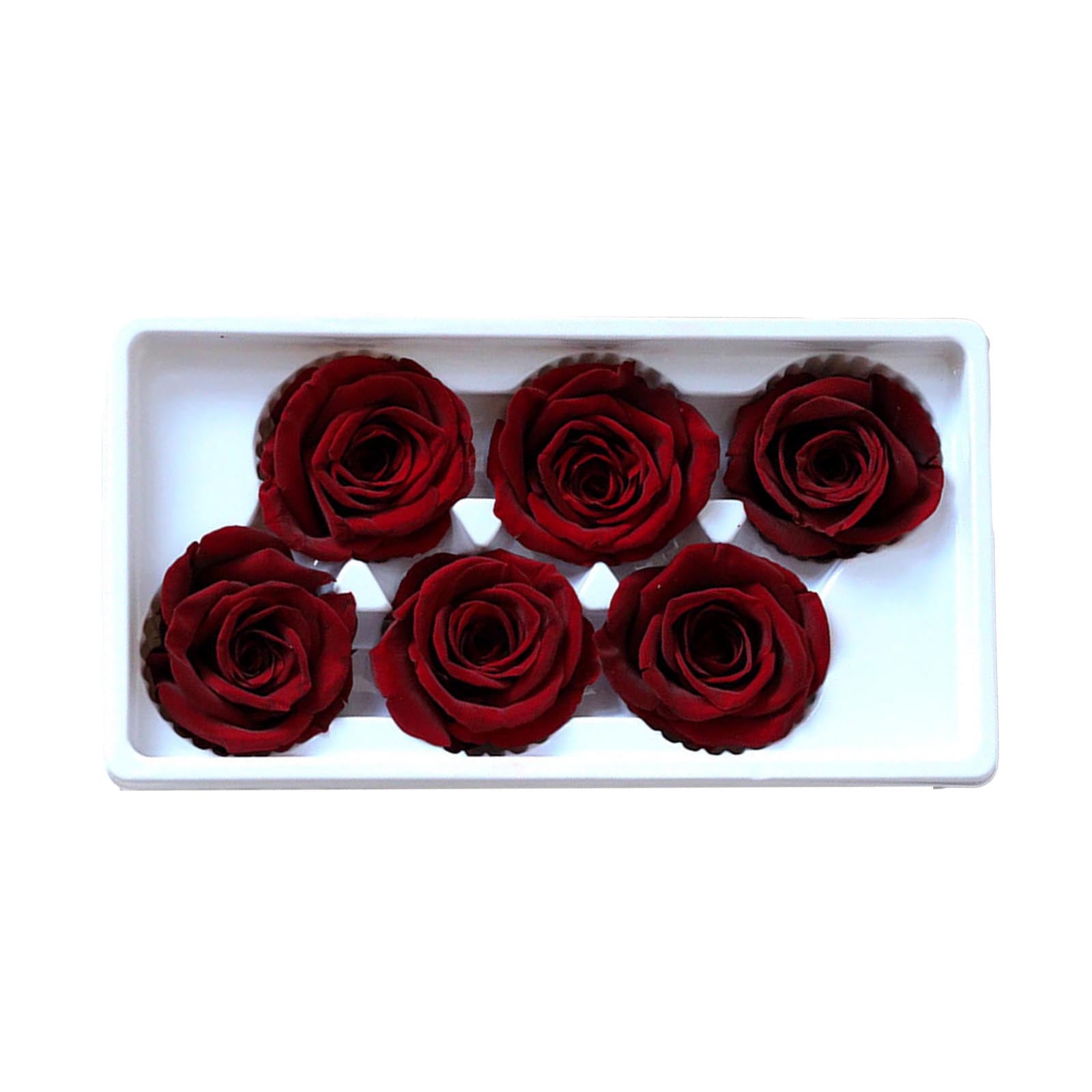 A Grade 5-6cm Preserved Rose Head Top Grade Natural Eternal Real Roses ...