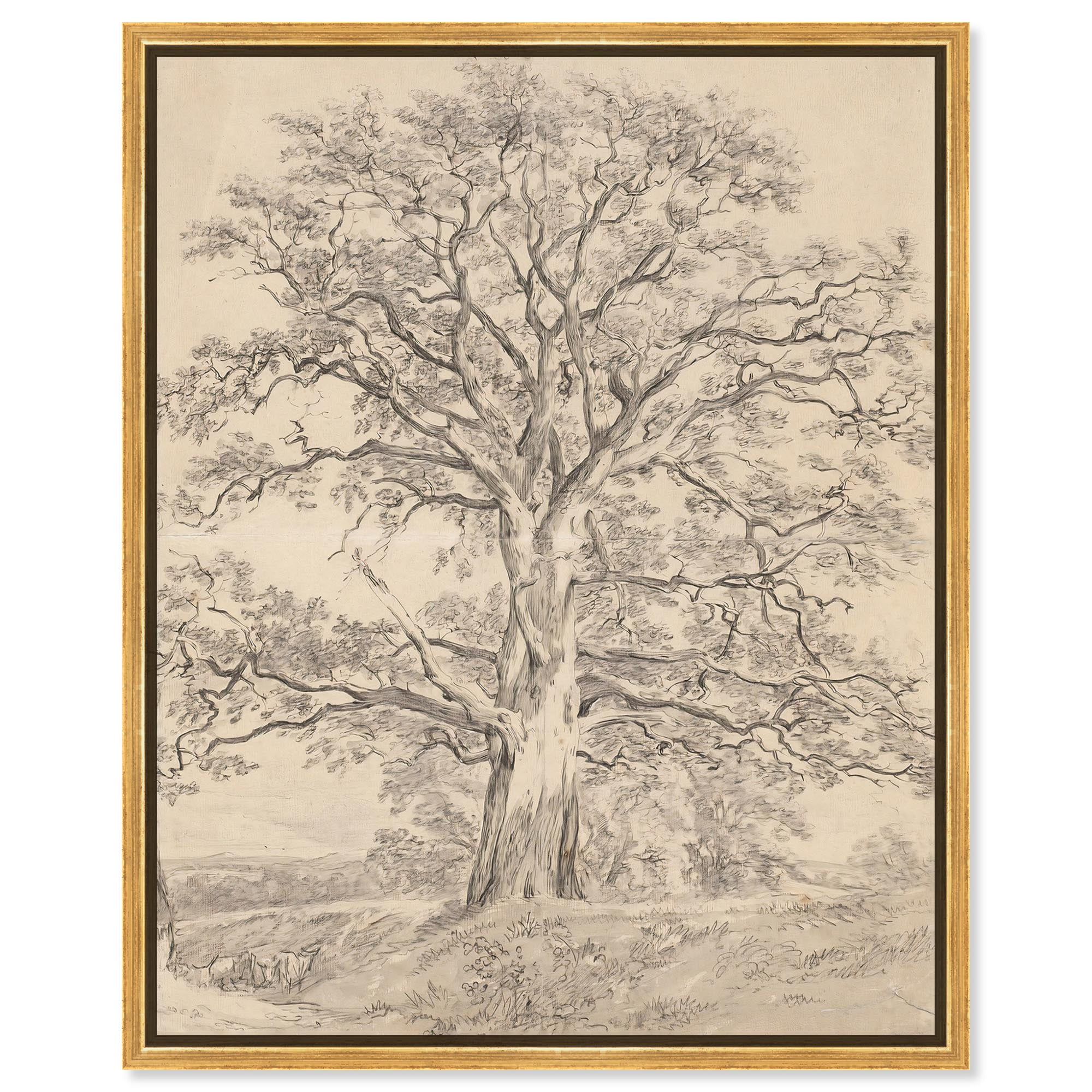 A Great Oak Tree 1801 Canvas Classic Sketches by Art Remedy, Gold Frame ...
