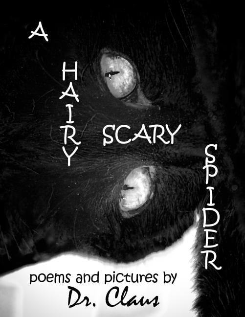 A Hairy Scary Spider (Paperback) - Walmart.com