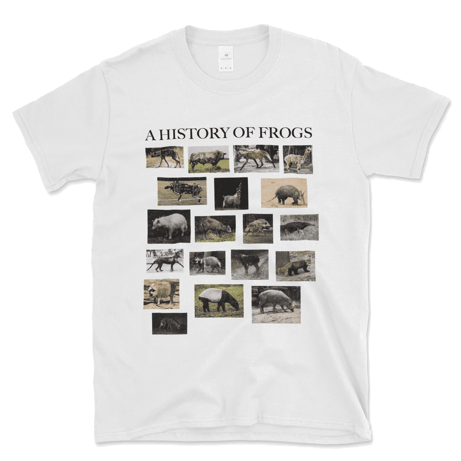 A History of Frogs T-Shirt AHOF Quadruped Merch Shirt Unisex Crew Neck ...