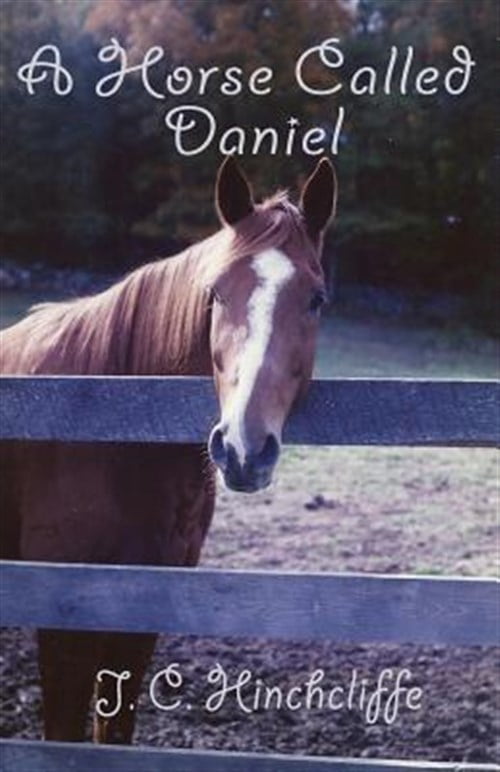 Pre-Owned A Horse Called Daniel (Paperback) - Walmart.com