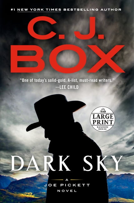 A Joe Pickett Novel: Dark Sky (Series #21) (Paperback) - Walmart.com