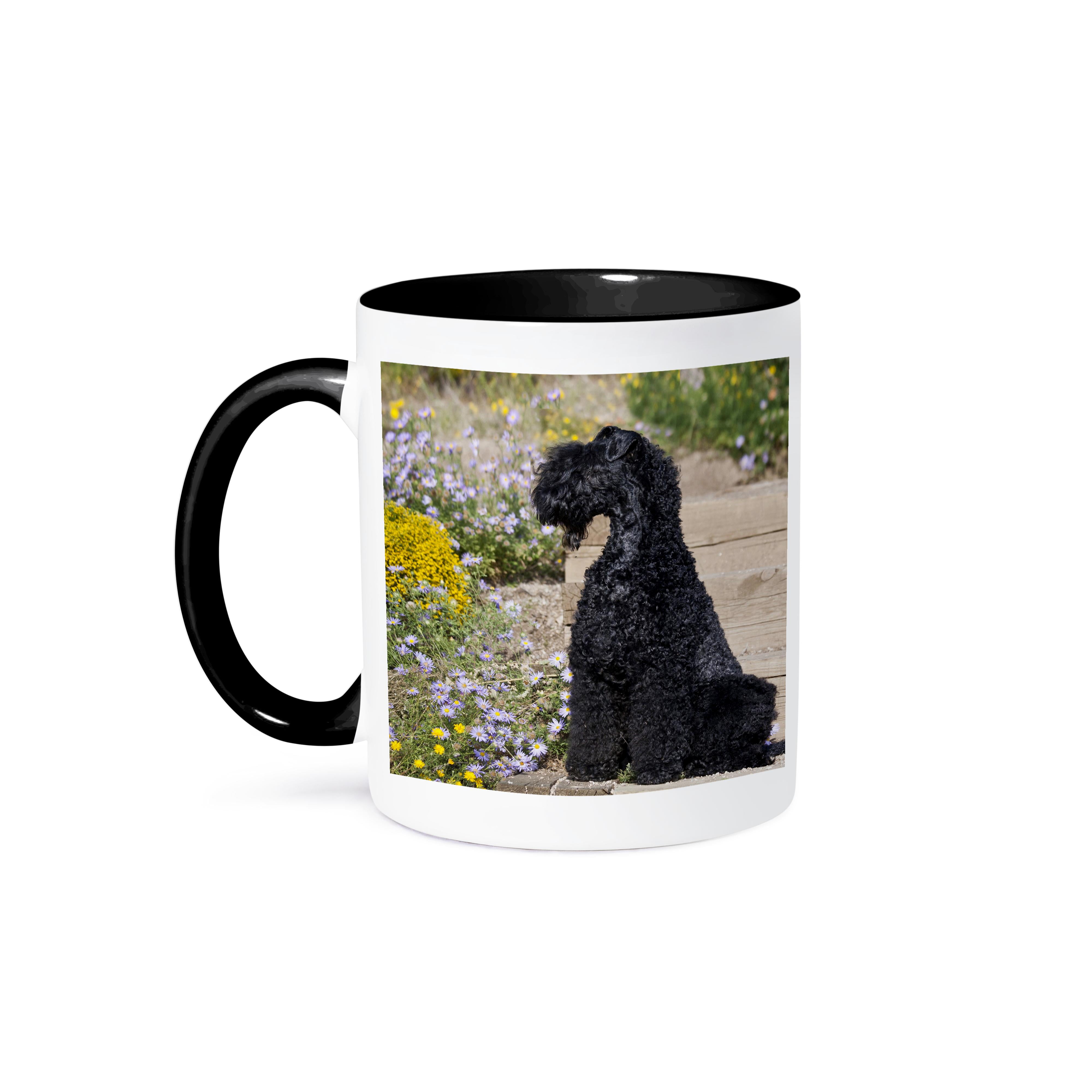 3dRose, A Kerry Blue Terrier dog on wooden steps - NA02 ZMU0138 ...