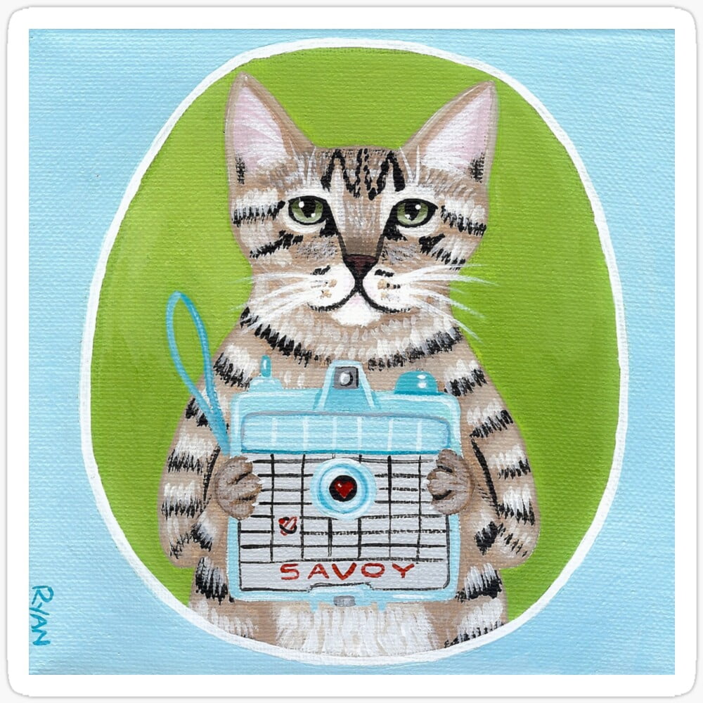 A Kitty With A Camera Sticker Phone Decal Water Bottle Stickers Car ...