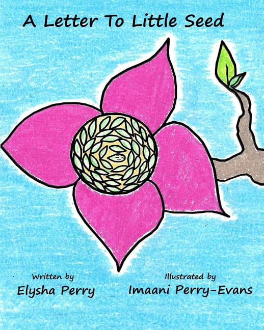 A Letter To Little Seed (Paperback) - Walmart.com