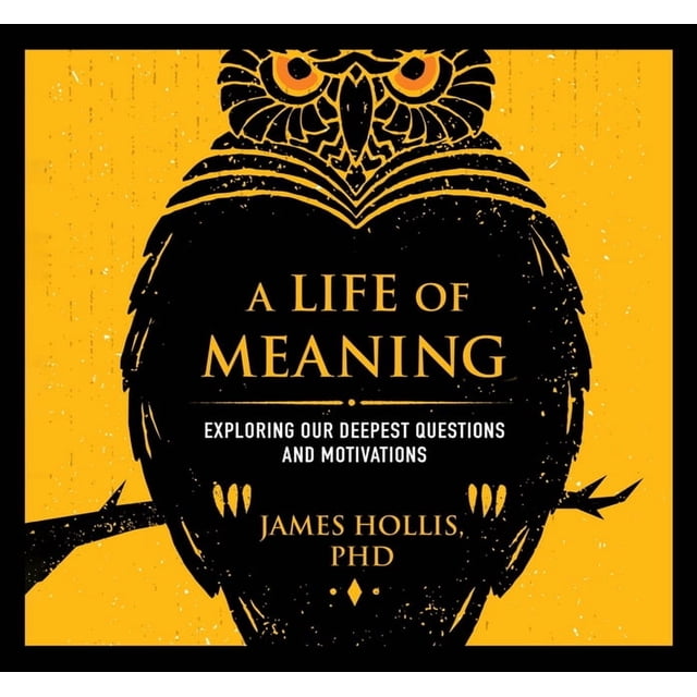 A Life of Meaning: Exploring Our Deepest Questions and Motivations ...