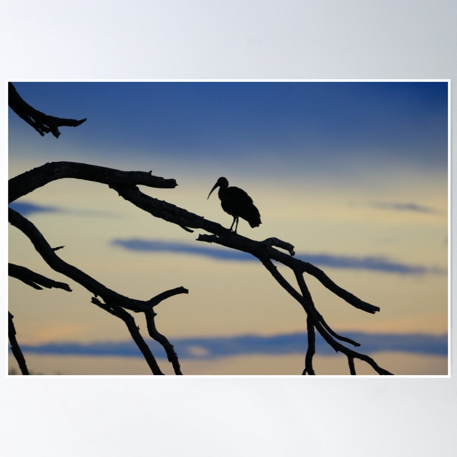 A Lone Bird Sitting In A Tree Poster Wall Art, Modern Wall Decor, 12x18 ...