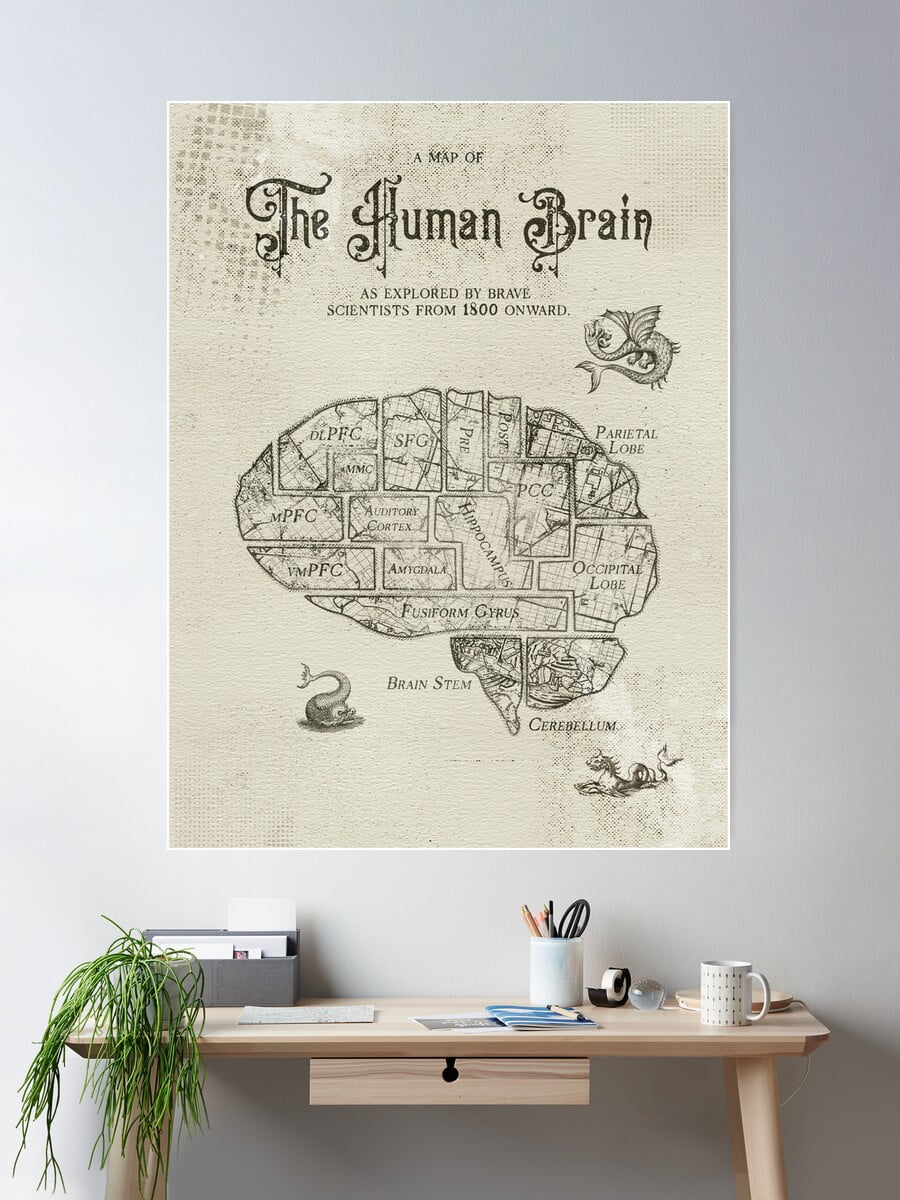 A Map Of The Human Brain Poster Wall Art, Modern Wall Decor For Living ...