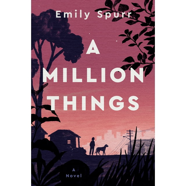 A Million Things (Paperback) - Walmart.com